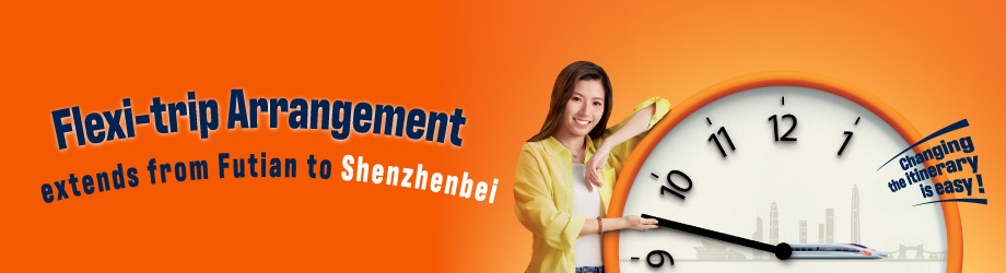 High Speed Rail > Same-day Flexi-trip Arrangement